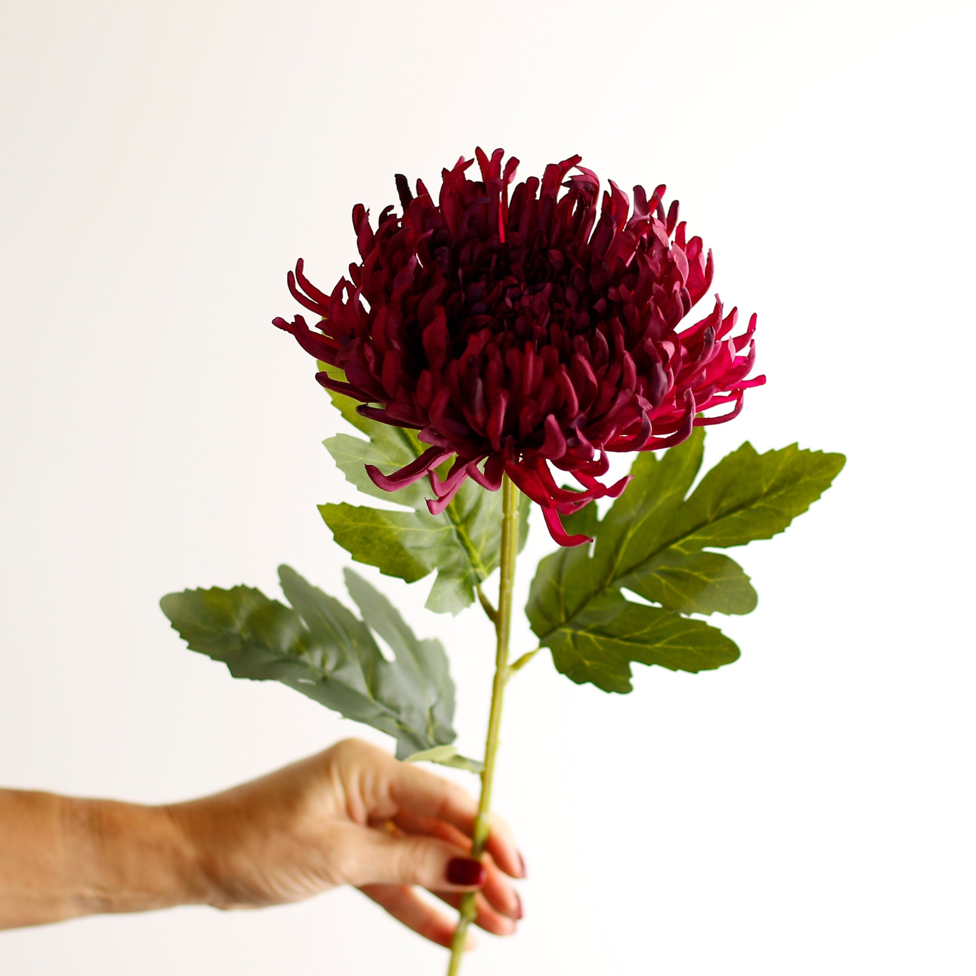 Faux Flower Stem Artificial Silk Fuji Mum Stem Magenta 74 Cm - Etsy UK