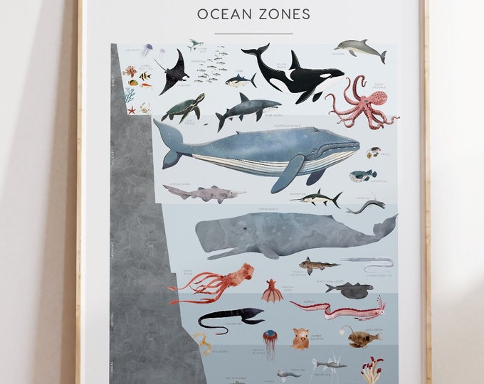 A2 Ocean Zones Poster - Etsy