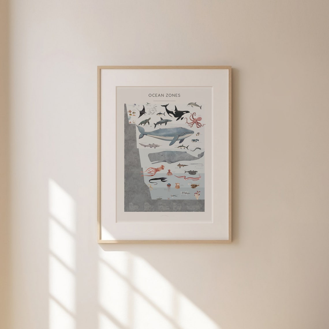 Ocean Zones Poster B2 , Layers of the Ocean, Ocean Homeschool, School ...