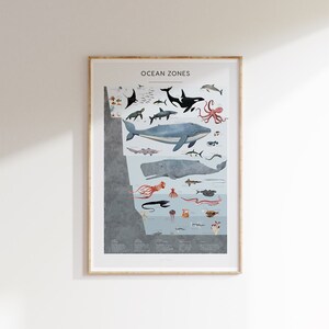 Ocean Zones Poster B2 , Layers of the Ocean, Ocean Homeschool, School ...