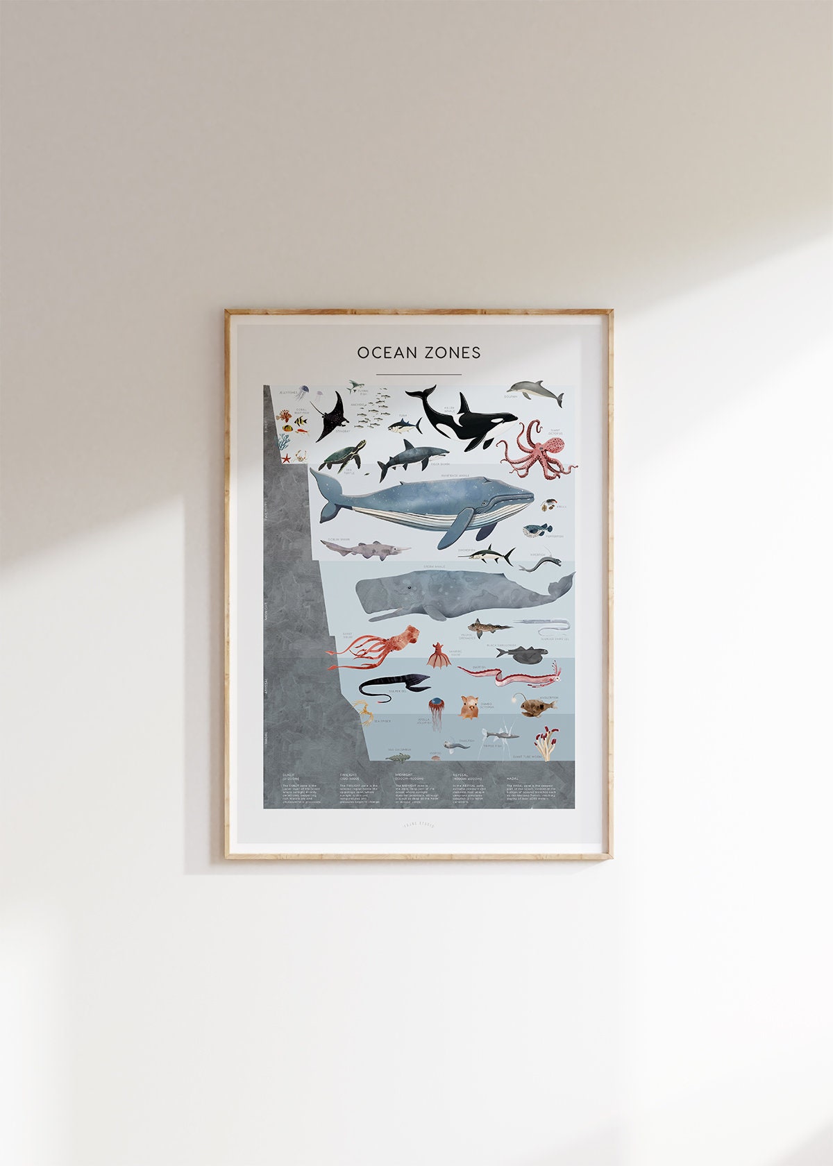 Ocean Zones Poster B2 , Layers of the Ocean, Ocean Homeschool, School ...