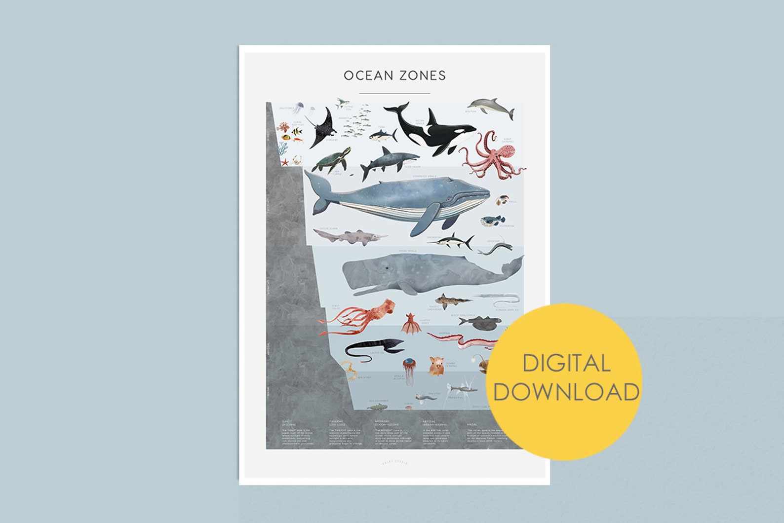 Ocean Zones Poster B2 , Layers of the Ocean, Ocean Homeschool, School ...