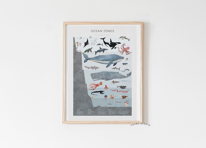 Ocean Zones Poster B2 , Layers of the Ocean, Ocean Homeschool, School ...