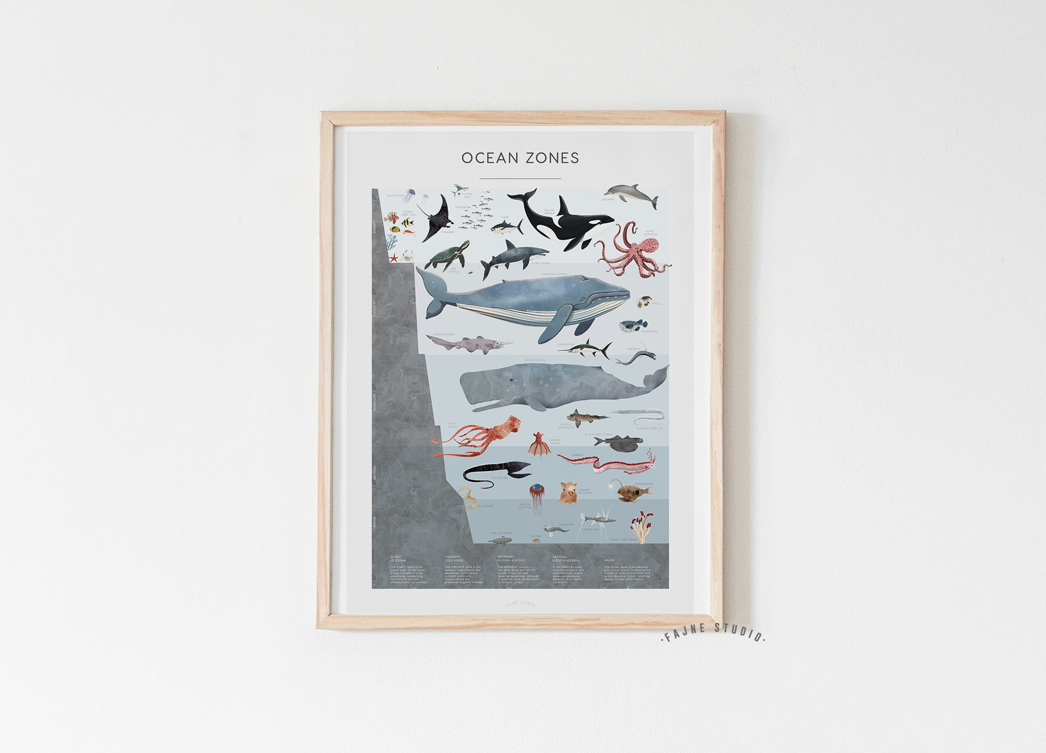 Ocean Zones Poster B2 , Layers of the Ocean, Ocean Homeschool, School ...