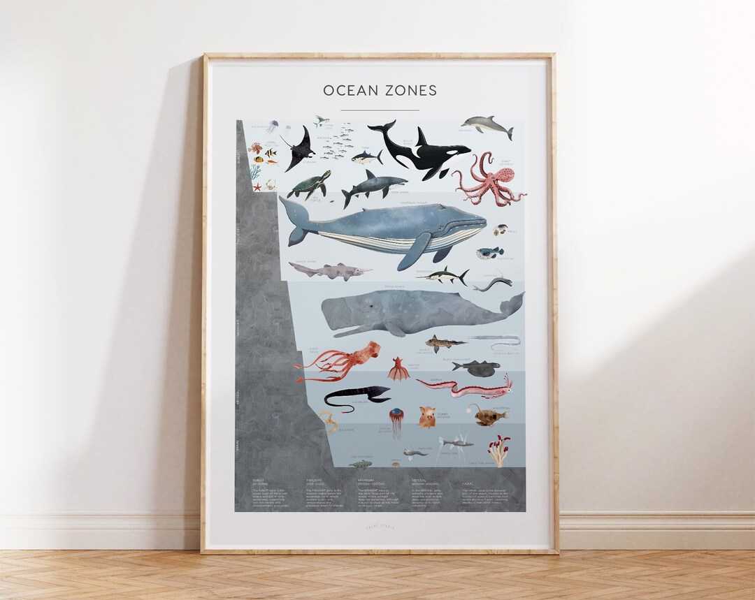 Ocean Zones Poster B2 , Layers of the Ocean, Ocean Homeschool, School ...
