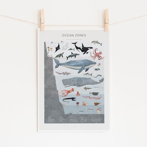 Ocean Zones Poster B2 , Layers of the Ocean, Ocean Homeschool, School ...