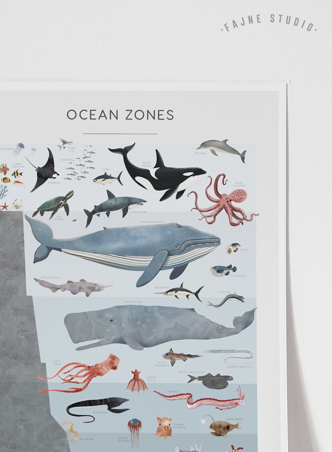 Ocean Zones Poster B2 , Layers of the Ocean, Ocean Homeschool, School ...
