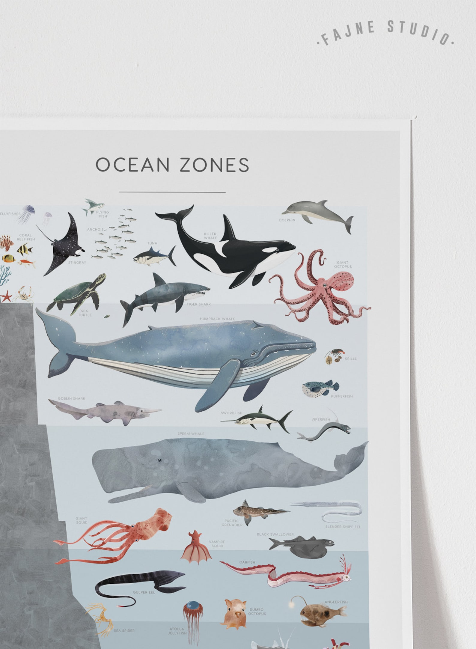 Ocean Zones Poster B2 , Layers of the Ocean, Ocean Homeschool, School ...