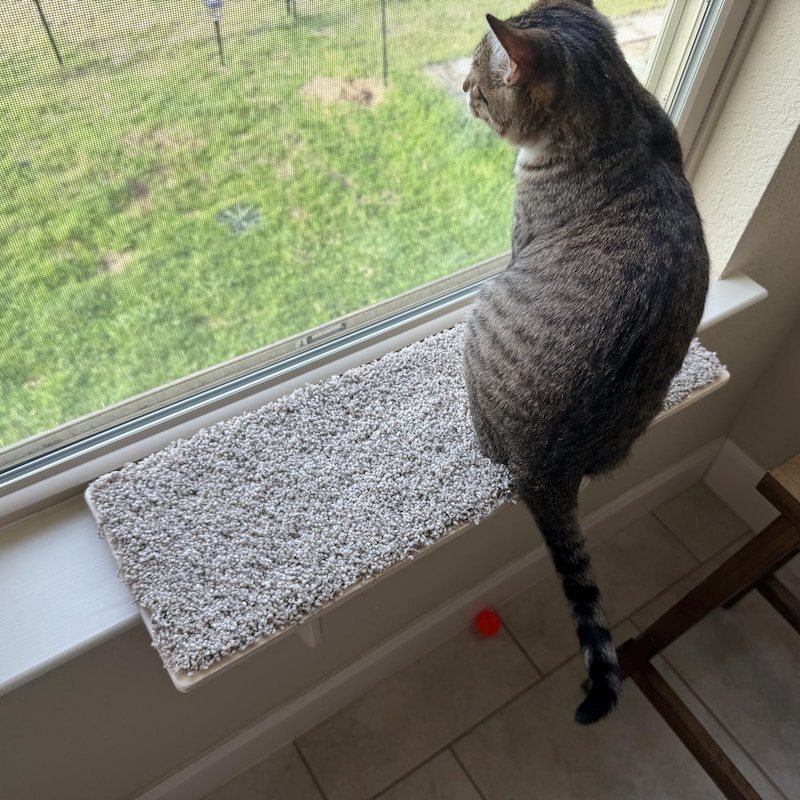 Cat Window Perch - Etsy