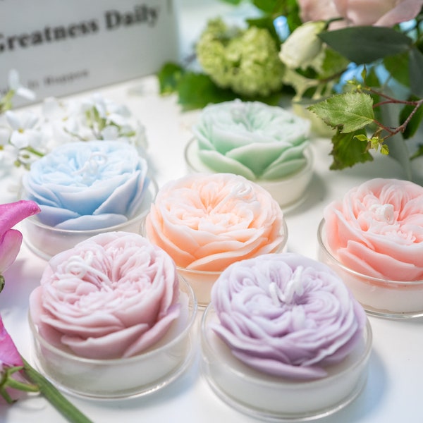 David Austin Roses - Etsy