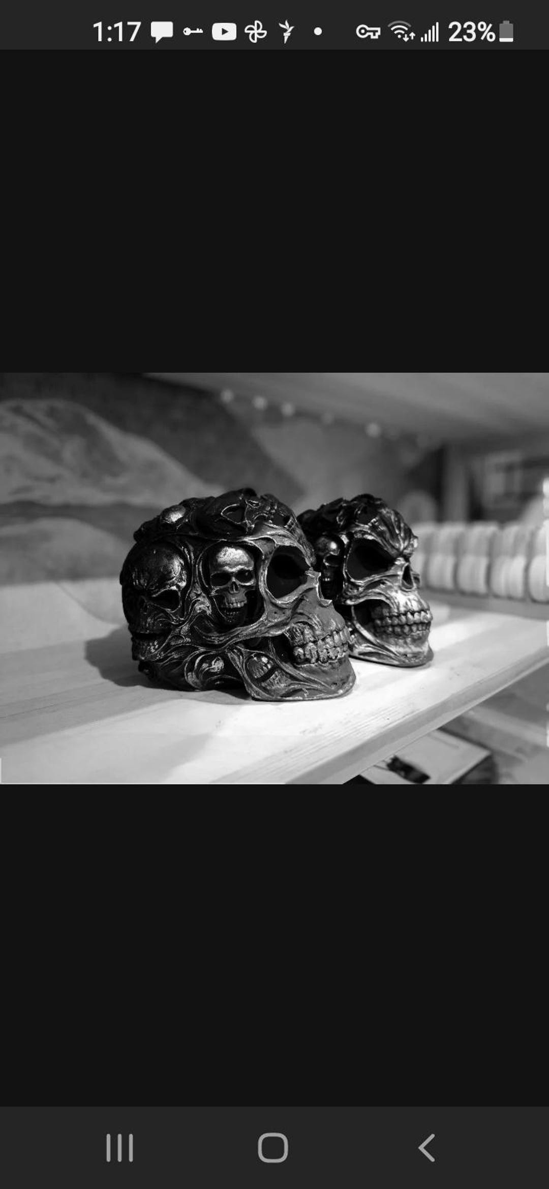 Human Skull Plaster Model - Etsy
