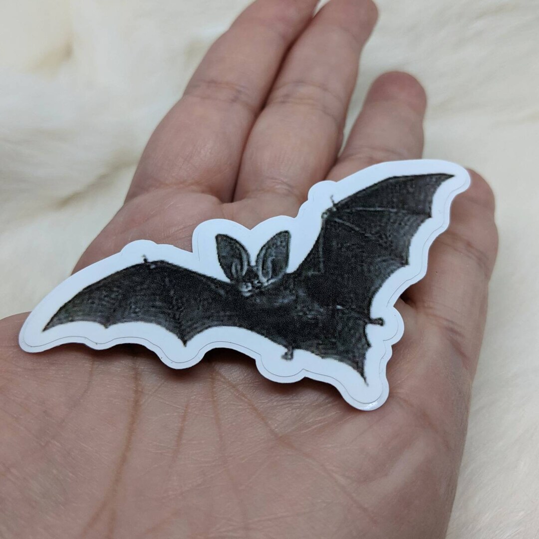Bat Sticker / Bumper Sticker / Vinyl Sticker / Vintage Image / Phone ...