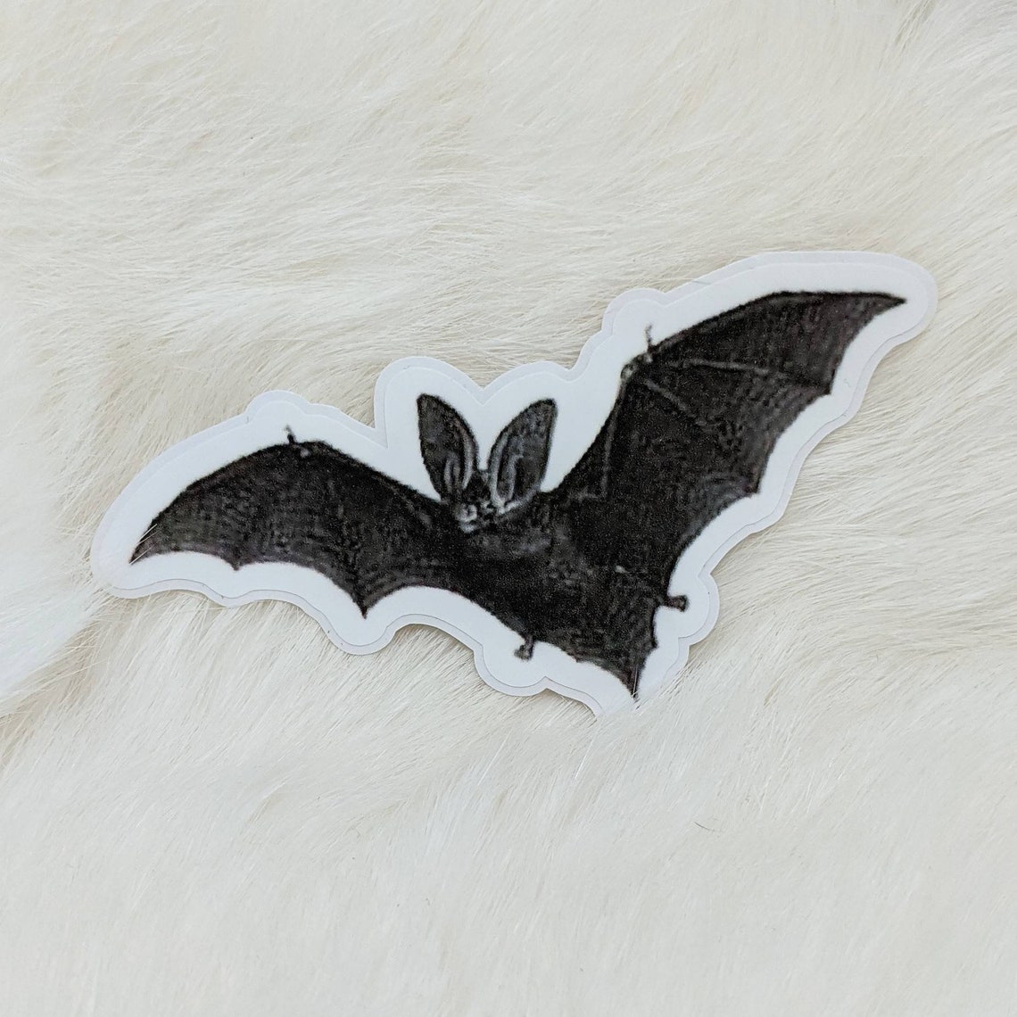 Bat Sticker / Bumper Sticker / Vinyl Sticker / Vintage Image / - Etsy