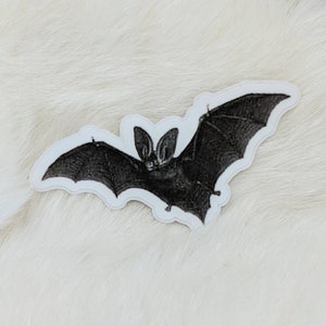 Bat Sticker / Bumper Sticker / Vinyl Sticker / Vintage Image / Phone ...