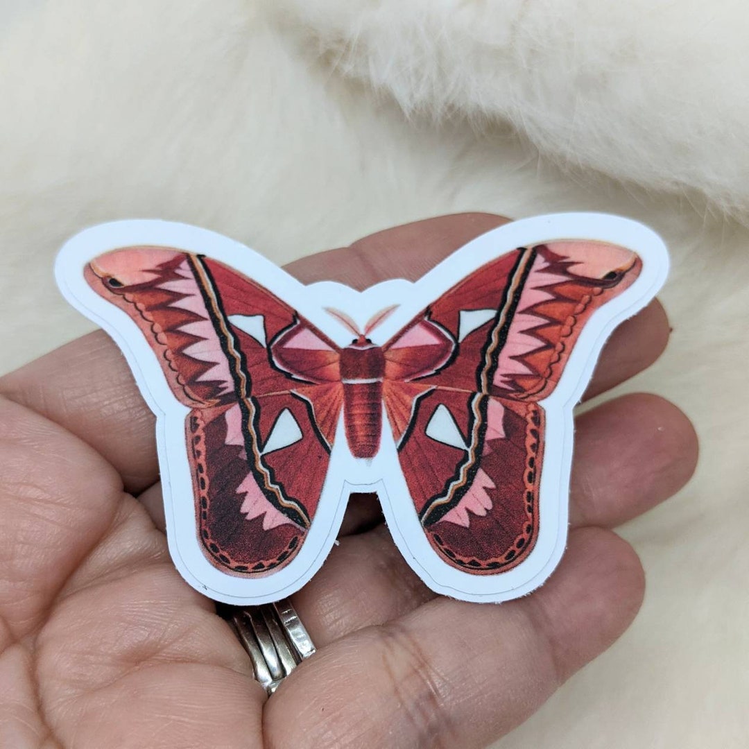 Pink Moth Sticker / Vintage Butterfly Sticker / Water Bottle Sticker ...