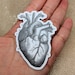 Anatomical Heart Sticker / Bumper Sticker / Vinyl Sticker / Vintage ...