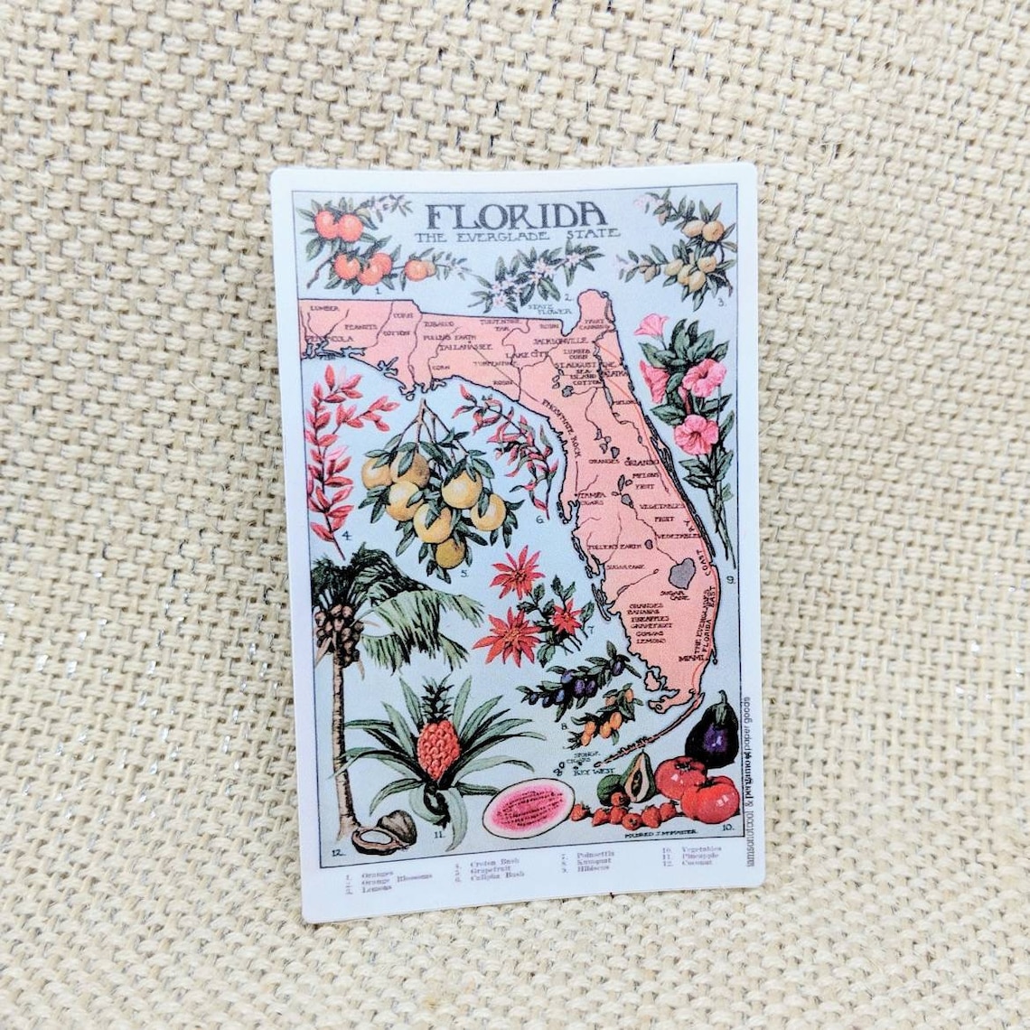 Florida Sticker / Bumper Sticker / Vinyl Sticker / Vintage | Etsy