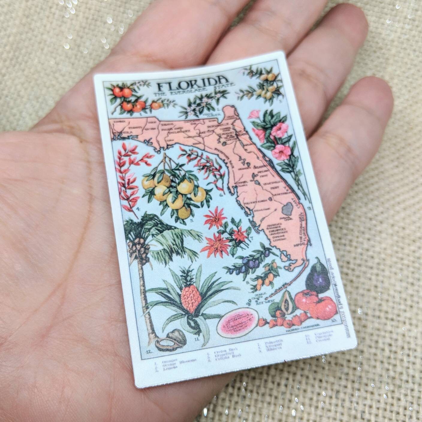 Florida Sticker / Bumper Sticker / Vinyl Sticker / Vintage - Etsy