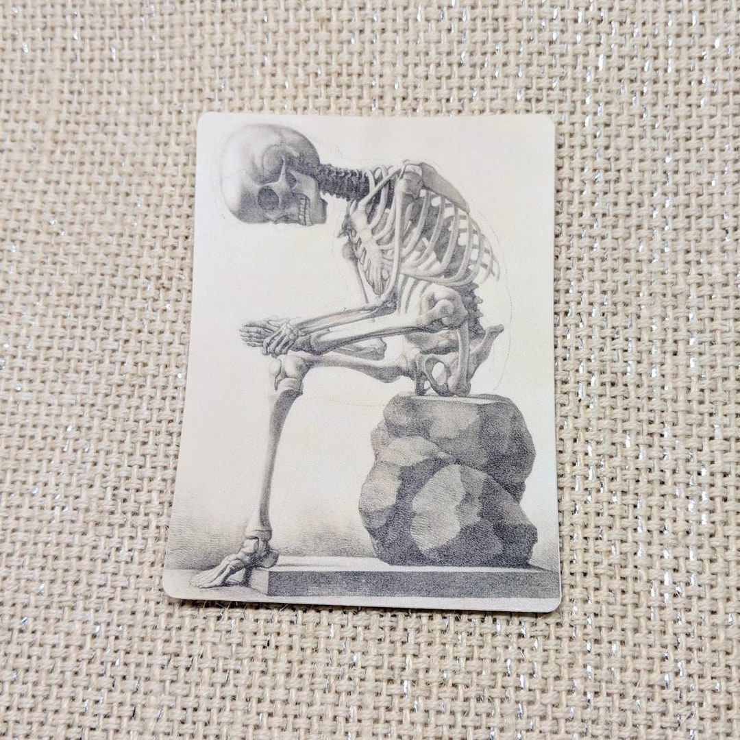 Skeleton Sticker / Bumper Sticker / Vinyl Sticker / Vintage - Etsy