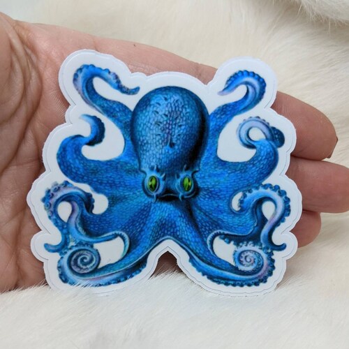 Rainbow Octopus Vinyl Sticker - Etsy