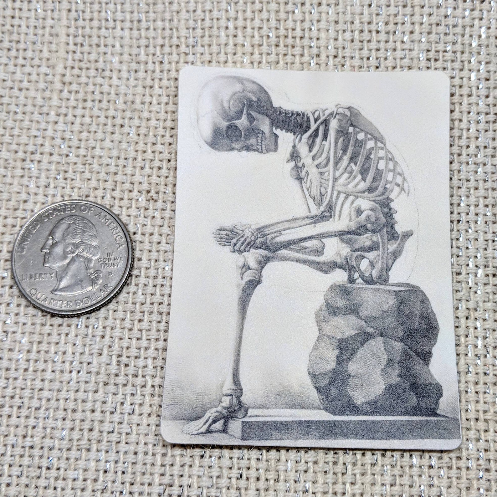 Skeleton Sticker / Bumper Sticker / Vinyl Sticker / Vintage - Etsy