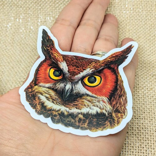 Owl Sticker / Bumper Sticker / Vinyl Sticker / Vintage Image / - Etsy