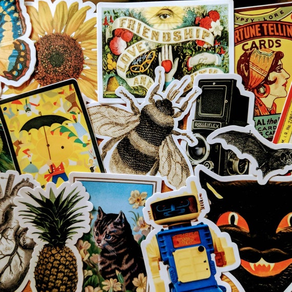 Choose Any Two Stickers   Bumper Sticker   Vinyl Sticker   - Etsy