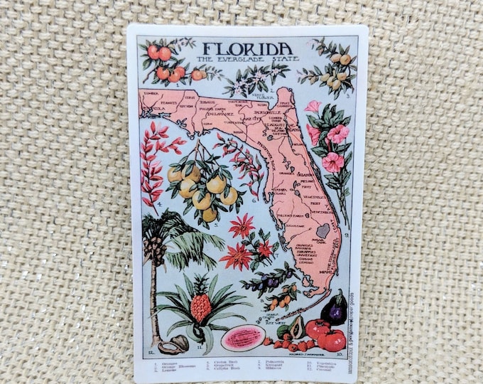 Florida Sticker / Bumper Sticker / Vinyl Sticker / Vintage Image ...