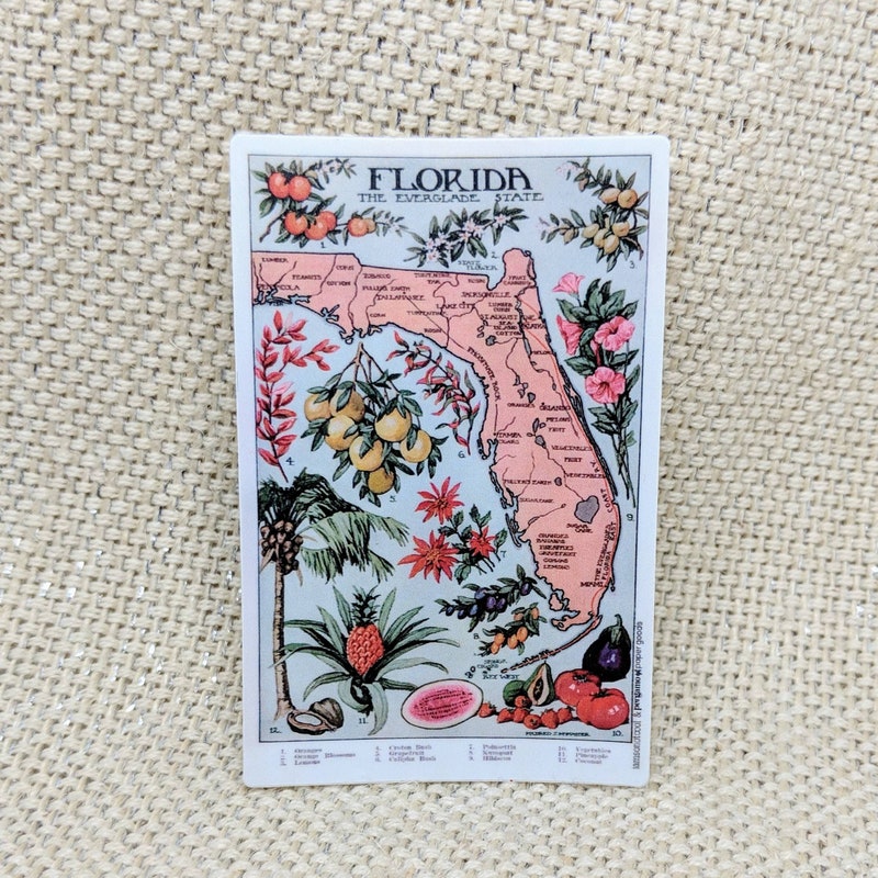 Florida Sticker - Etsy