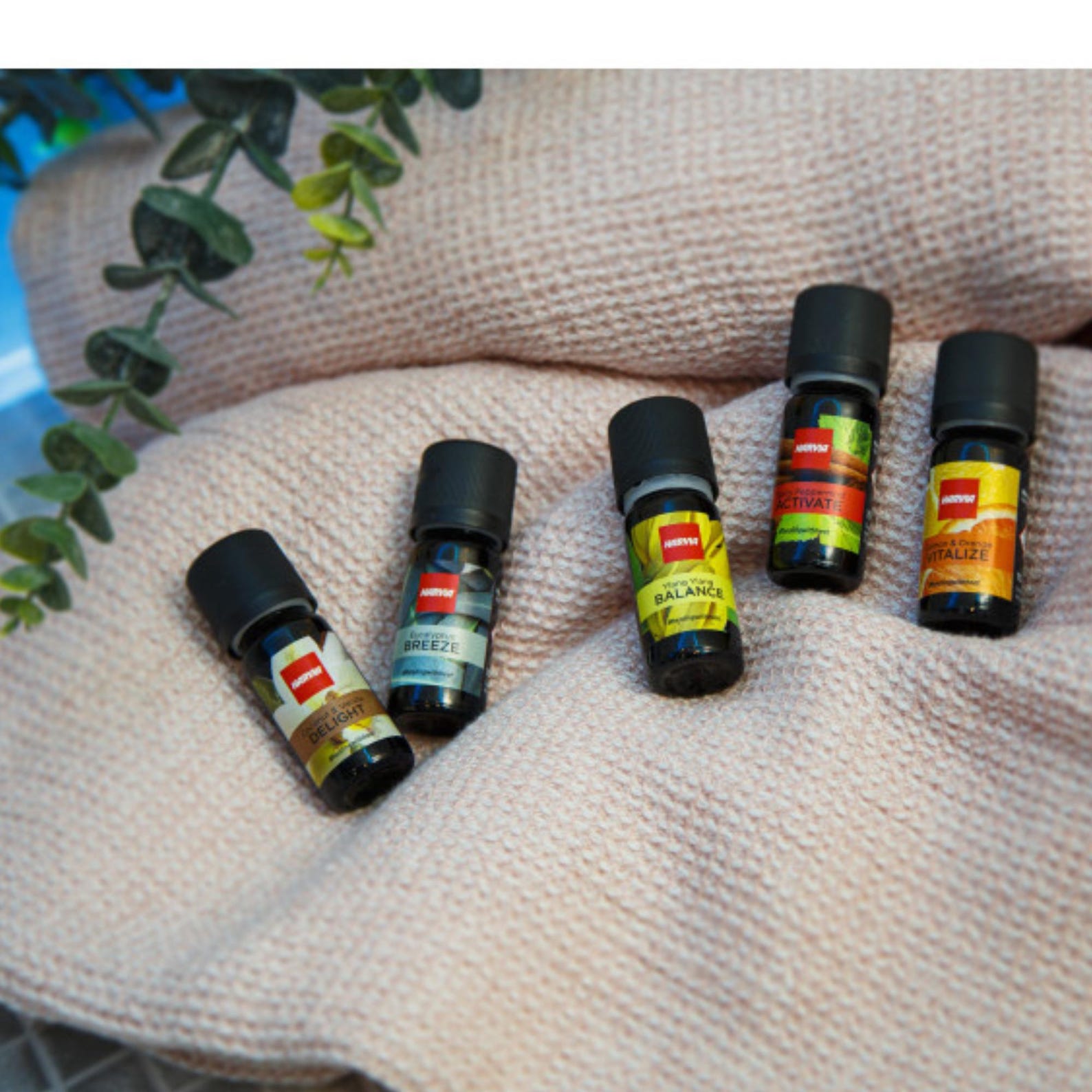 Spa Scent for Sauna|sauna Scent for Relaxing Smells in the Sauna, Birch ...