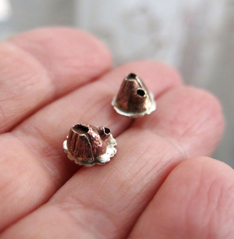 Bronze Silver Barnacle Stud Post Earrings, Ocean Beach Lover Gift Sea ...