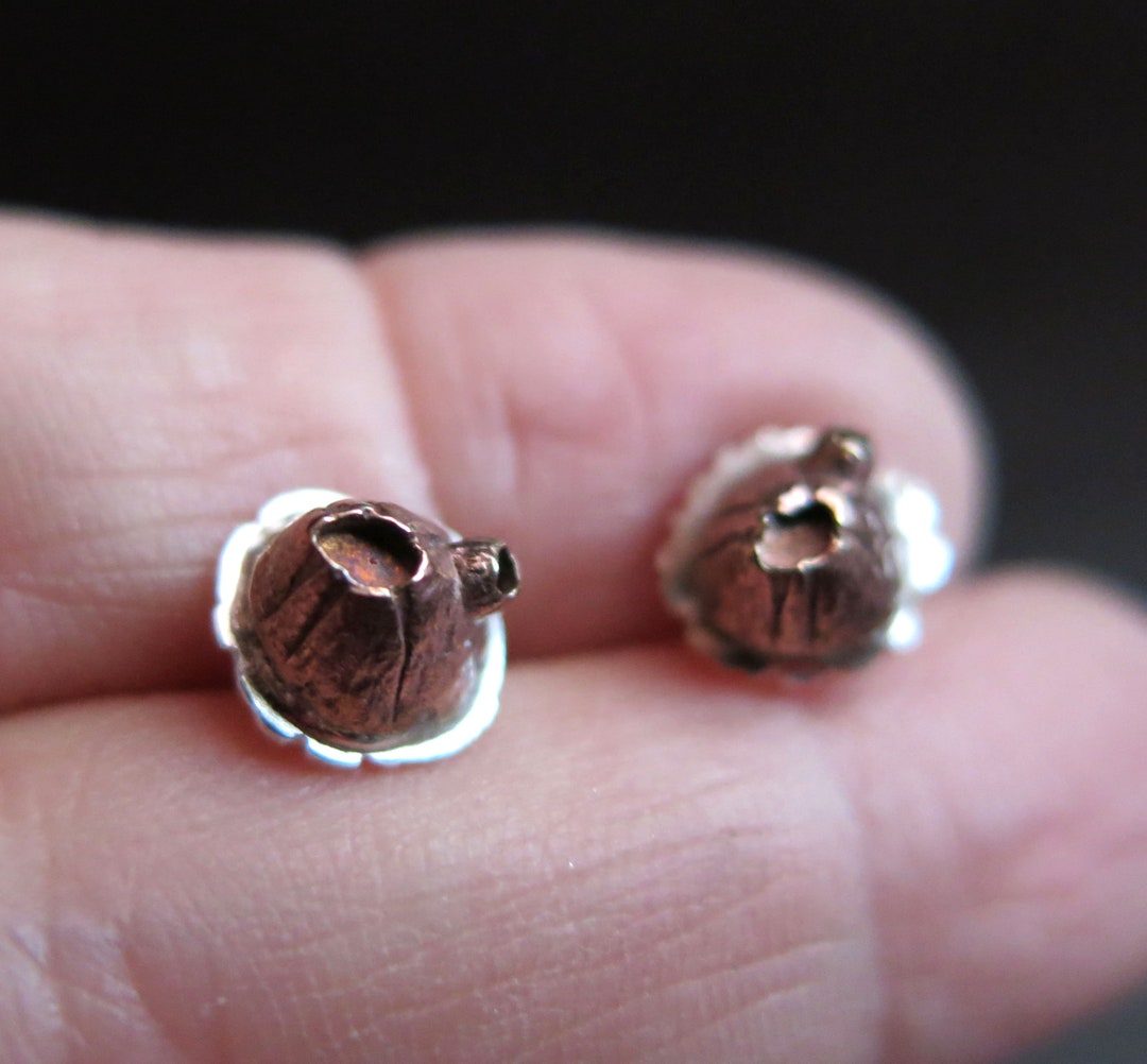 Bronze Silver Barnacle Stud Post Earrings, Ocean Beach Lover Gift Sea ...