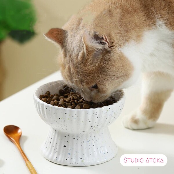 Animal Ceramic Bowl - Etsy