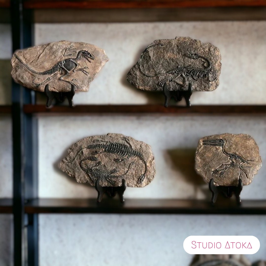 Dinosaur Fossil Statue Unique Dinosaur Home Decor Resin Animal ...