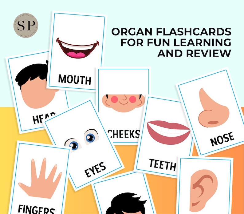 Body Parts Preschool Bundle, Printable Anatomy Activity Pack Montessori ...