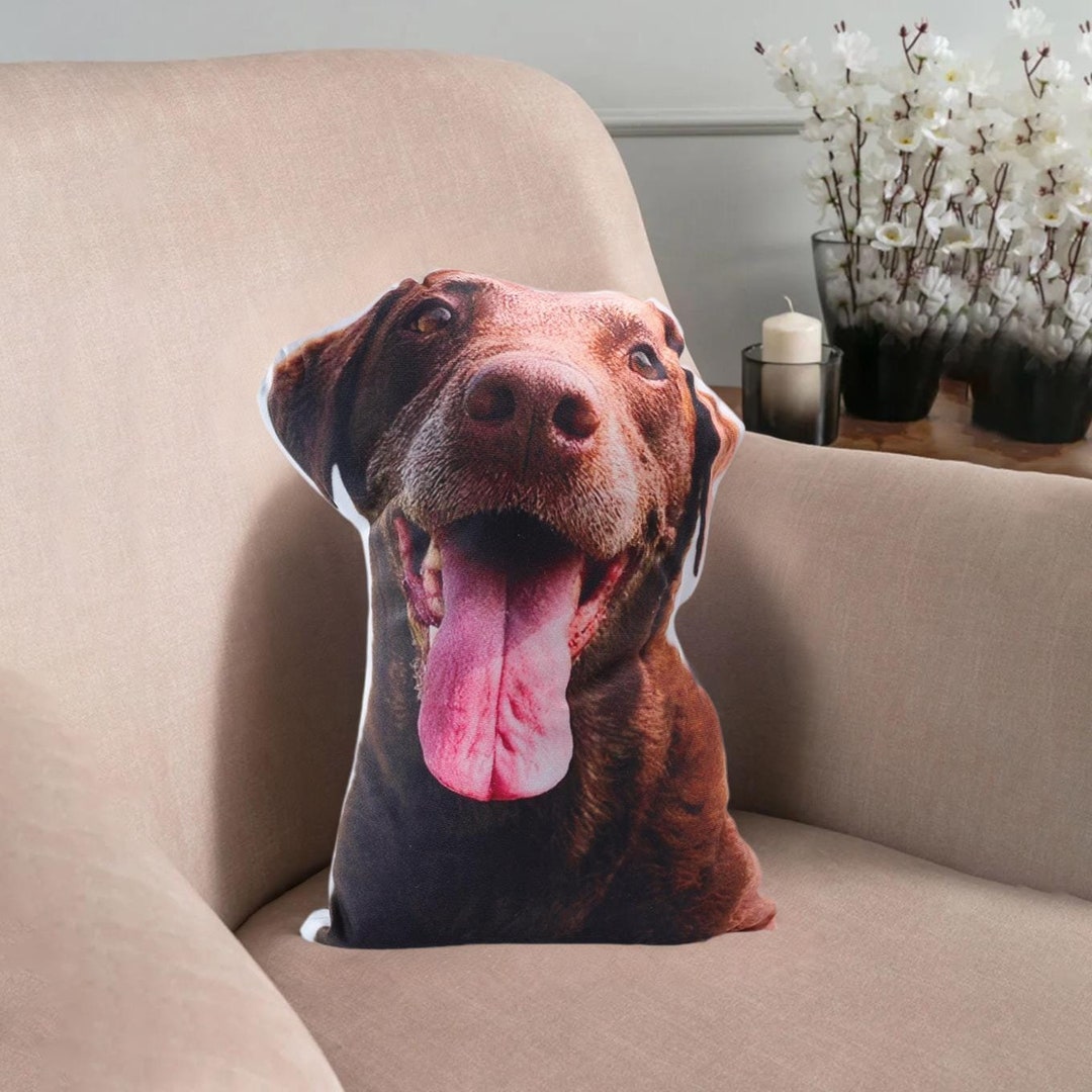 Custom 3D Pet Pillow From Photo, Custom Photo Pillow, Double Printed ...
