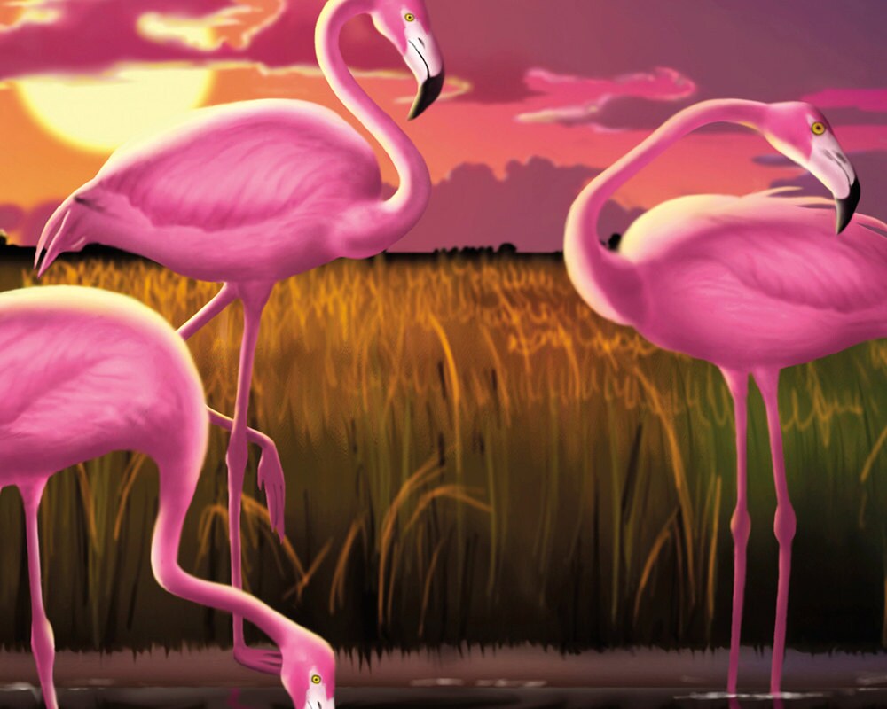 Pink Flamingos Sunset Art Tropical Flamingoes Canvas Print | Etsy Pink Flamingos Sunset Art Tropical Flamingoes Canvas Print | Etsy