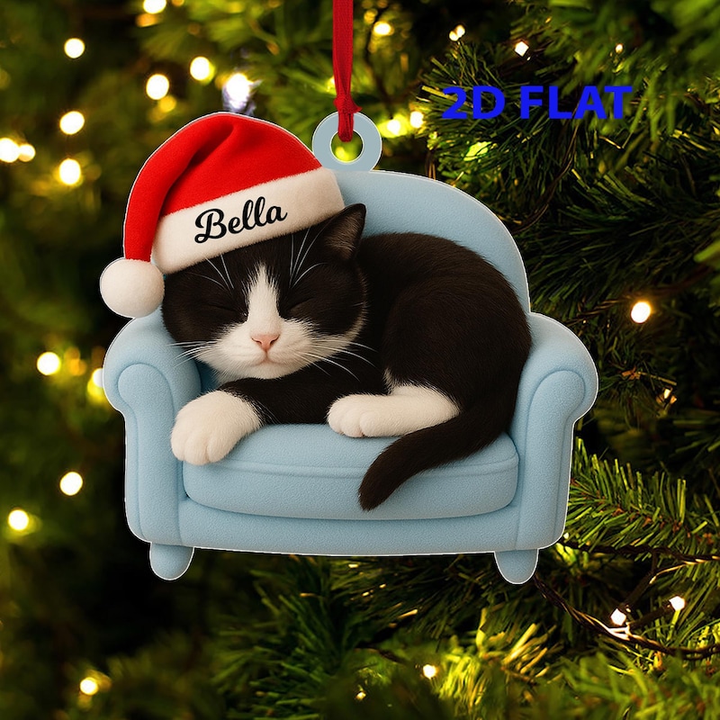Cat With a Christmas Hat - Etsy