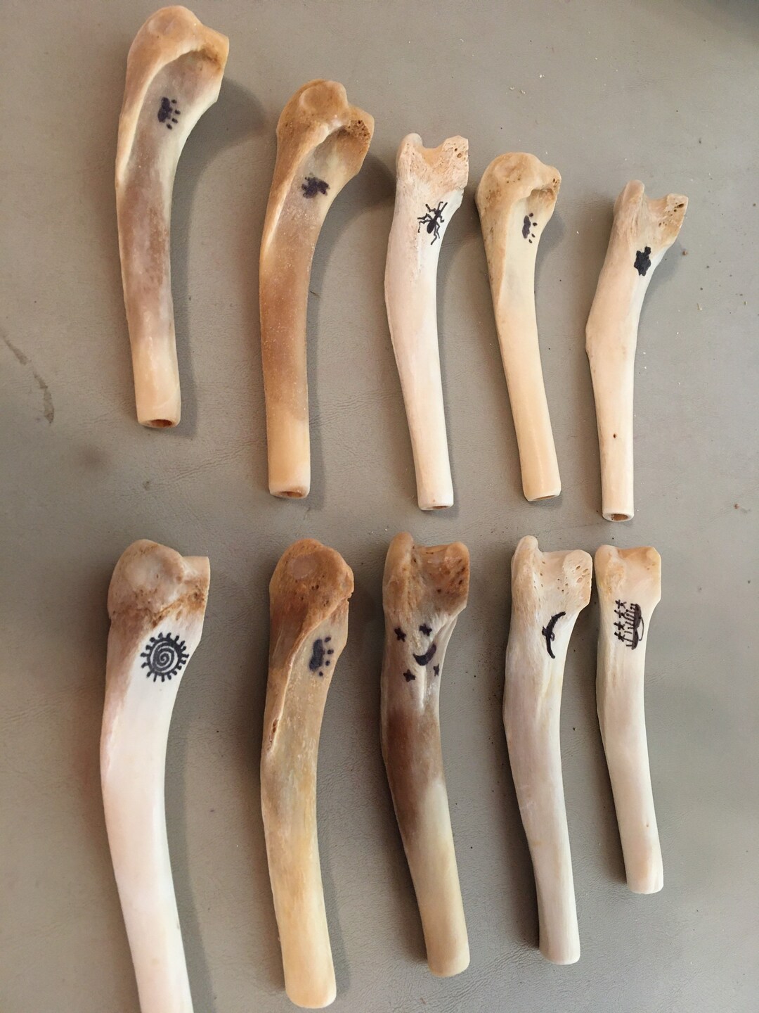 Package of 10 Coyote Femur Leg Bone Smoking Pipe #pipe2 - Etsy