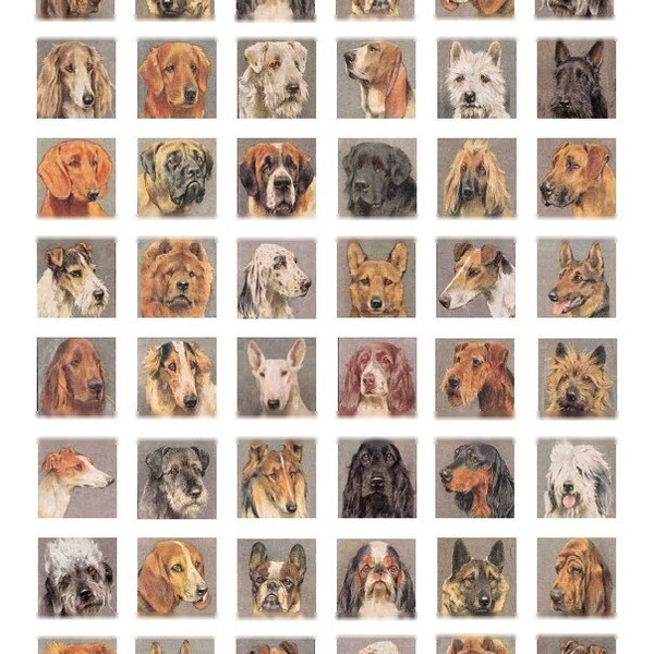 1x1 Custom Stickers - Etsy