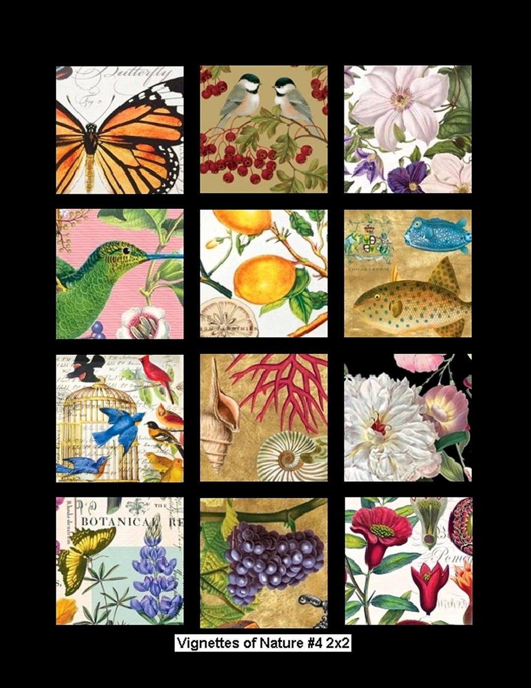 Vignettes of Nature No. 4 - 2x2 - Digital Collage Sheet - Instant ...