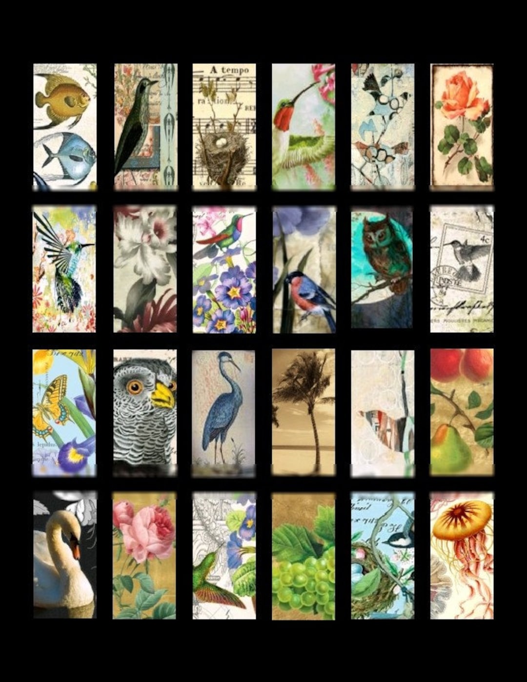 Vignettes of Nature No. 1 - 1x2 - Digital Collage Sheet - Instant ...