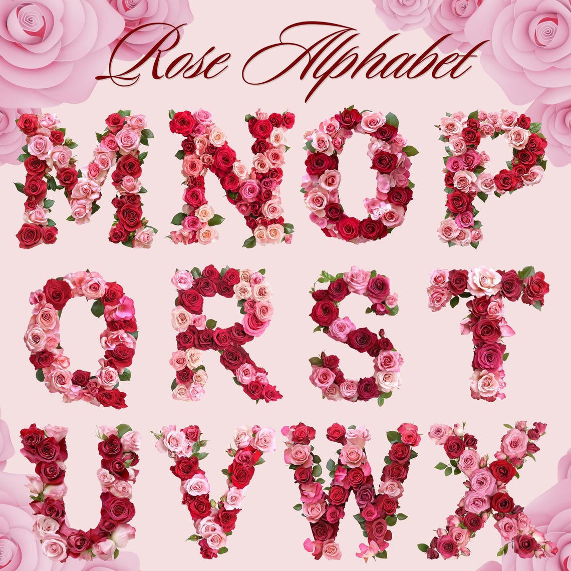 Rose Alphabet Clipart: Floral Letters & Numbers PNG (digital Download ...