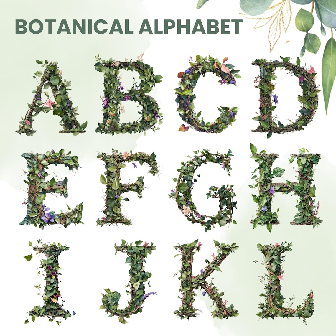 Botanical Vine Alphabet Clipart: Greenery Letters & Numbers PNG ...