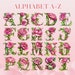 Floral Alphabet Clipart: Rose Letters, Numbers PNG, Digital Download - Etsy