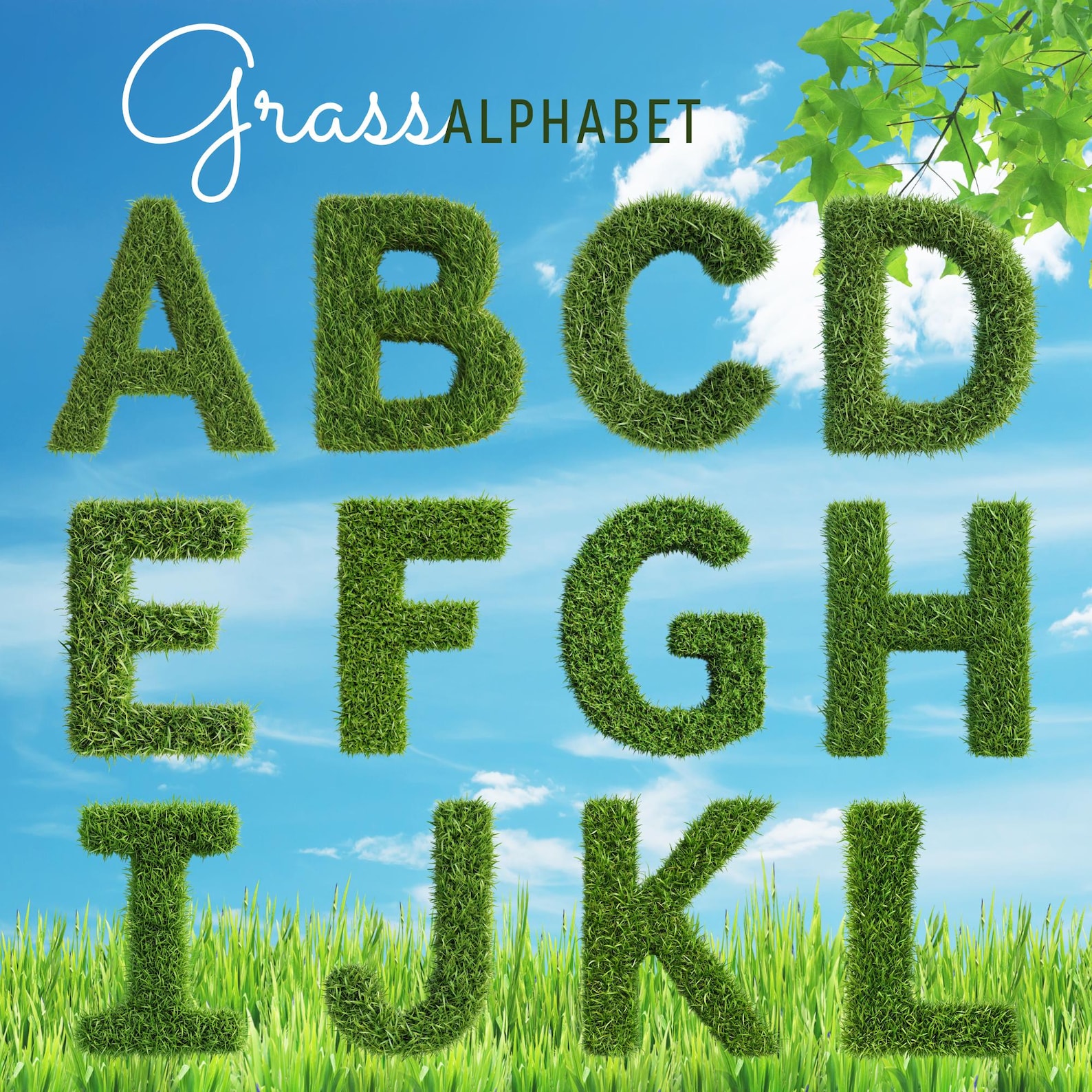 Grass Alphabet Clipart, Green Grass Letters PNG, Eco Nature Font for ...