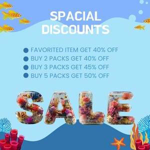 Coral Alphabet PNG | Ocean Glass Letters & Numbers | Underwater ABC ...