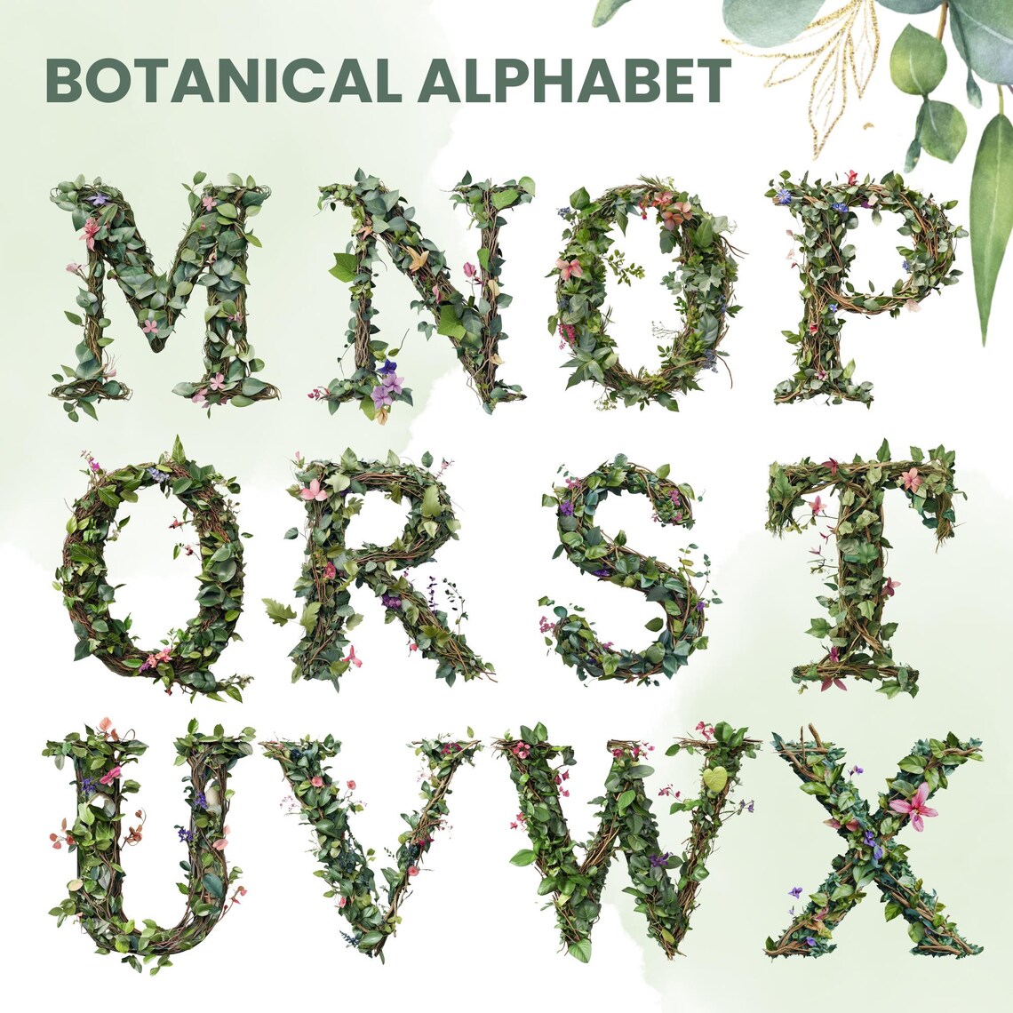 Botanical Vine Alphabet Clipart: Greenery Letters & Numbers PNG ...