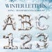 Winter Alphabet Letters Clipart, Snowy Letters, Winter Themed Letters ...