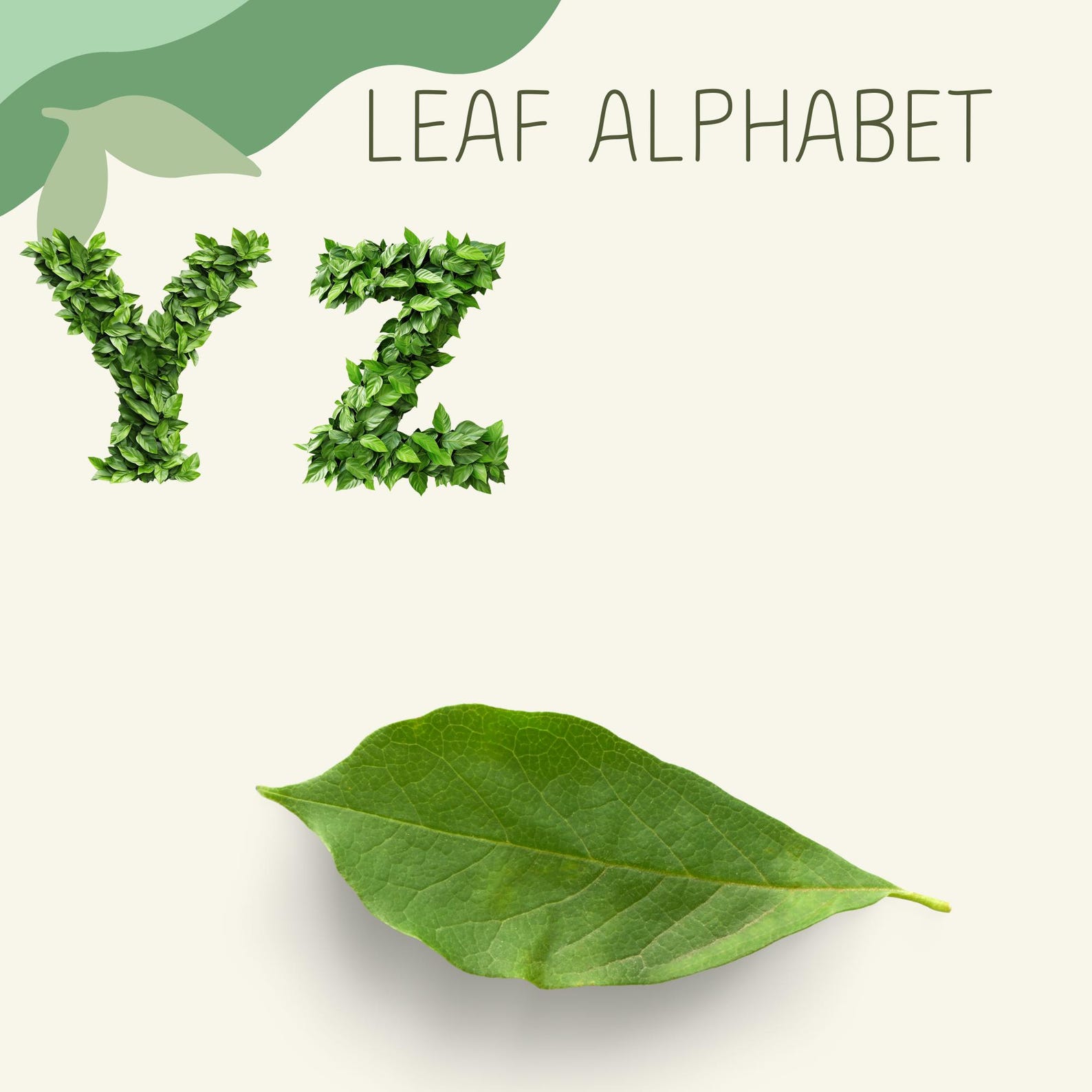 Leaf Alphabet Clipart, Green Leaves Letters 36PNG, Nature Font for ...